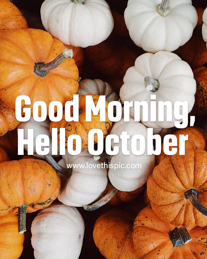 Good Morning Hello October With Orange & White Pumpkins Pictures ...