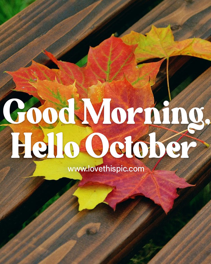 Colorful Leaves - Good Morning, Hello October Pictures, Photos, and ...