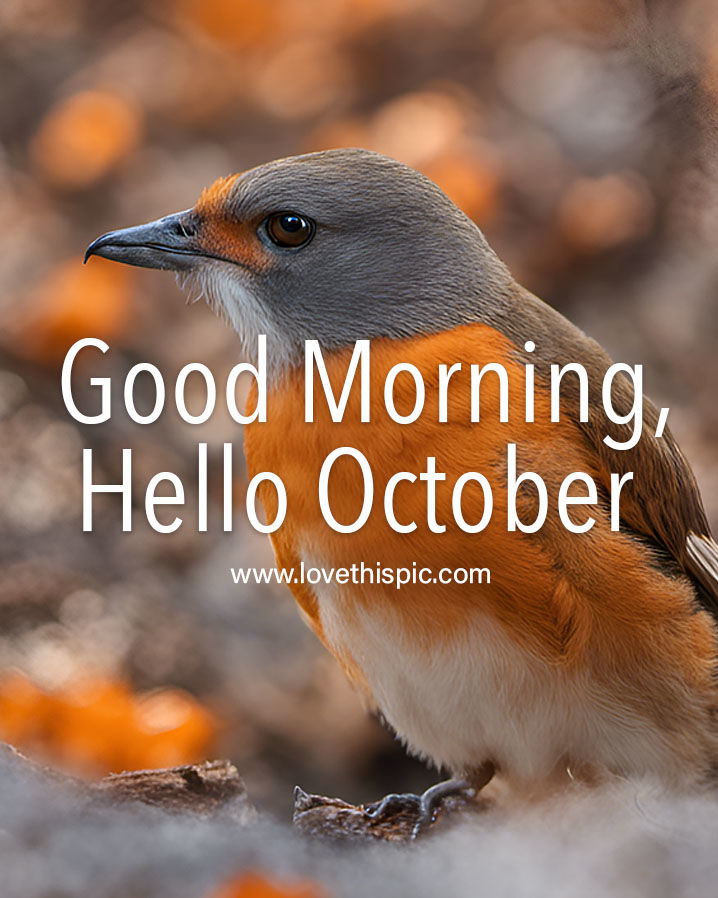 Good Morning, Hello October Birdy Pictures, Photos, and Images for ...