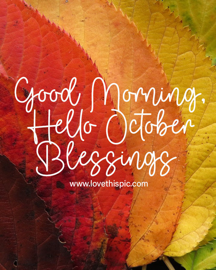 Colorful Leaves - Good Morning & Hello October Blessings Pictures ...