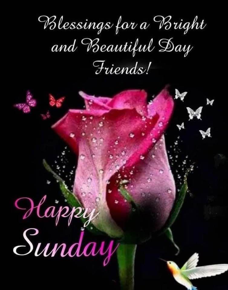 Blessings For A Bright And Beautiful Day Friends! Happy Sunday Pictures ...