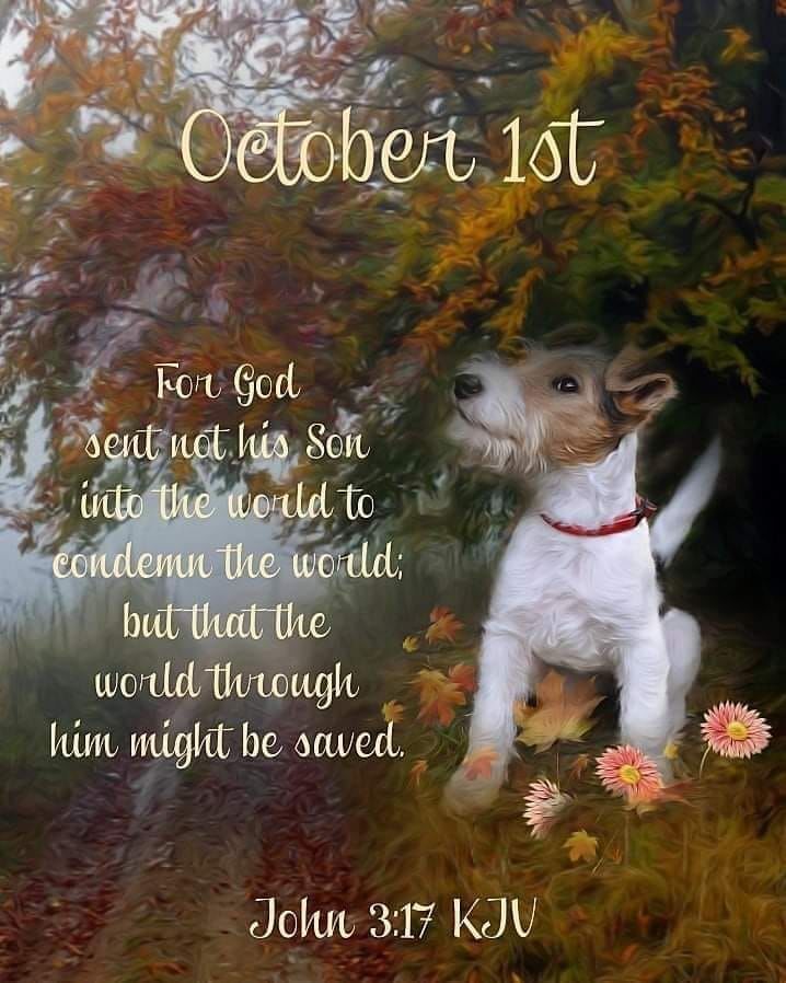 October 1st Pictures, Photos, and Images for Facebook, Tumblr ...