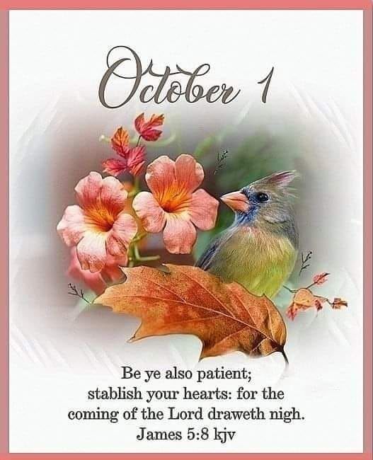 October 1 (Via James 5:8) Pictures, Photos, and Images for Facebook ...