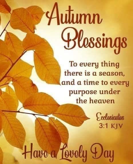 Autumn Blessings: Have A Lovely Day Pictures, Photos, and Images for ...