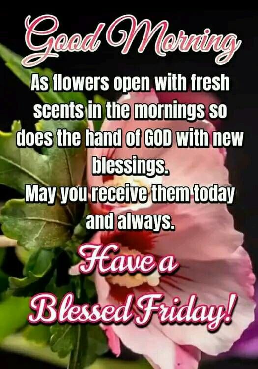 Good Morning Blessed Friday Pictures, Photos, and Images for Facebook ...