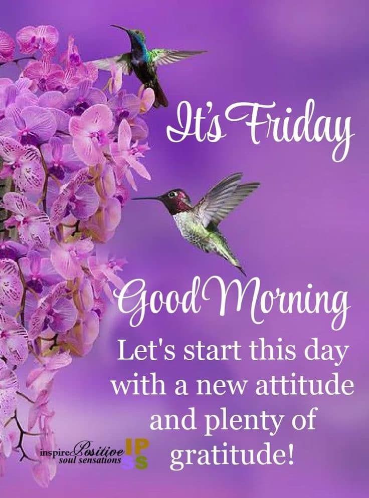 It's Friday, Good Morning. Let's Start This Day With A New Attitude And ...