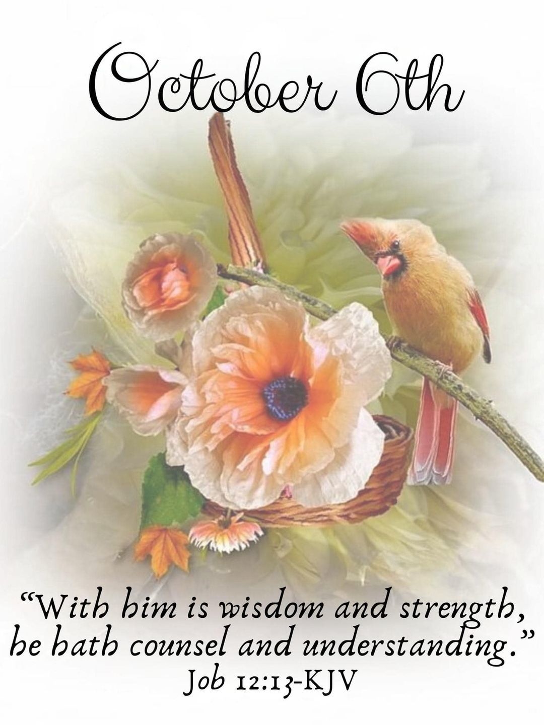 October 6th Pictures, Photos, and Images for Facebook, Tumblr ...