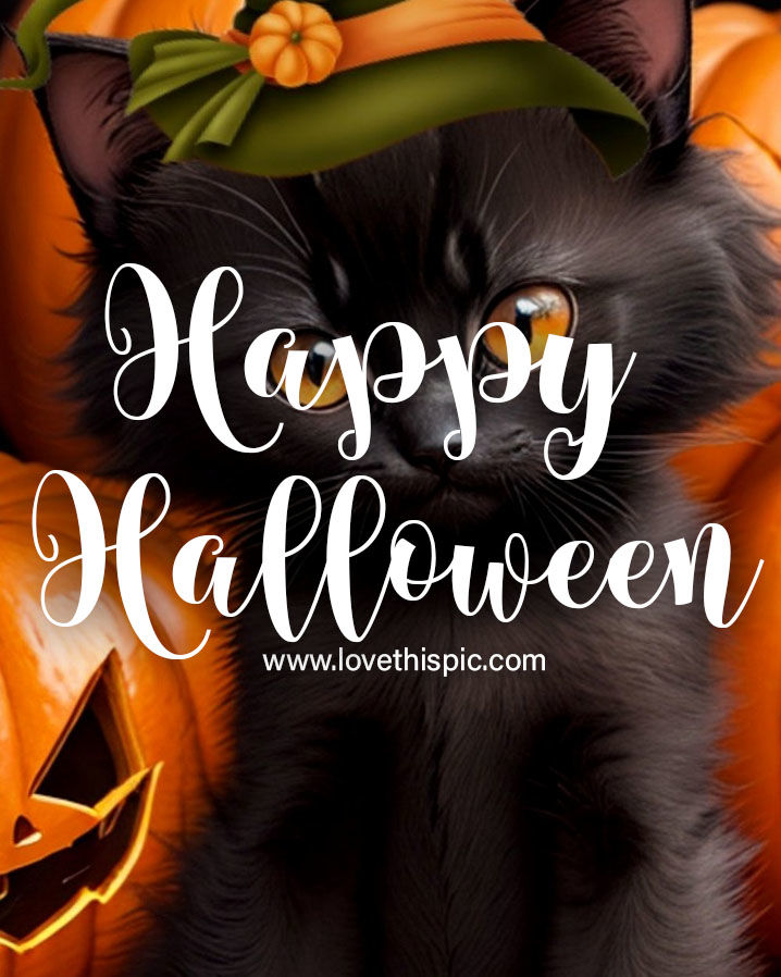 Black Cat - Happy Halloween Pictures, Photos, and Images for Facebook ...