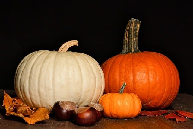 White And Orange Pumpkins Pictures, Photos, and Images for Facebook ...