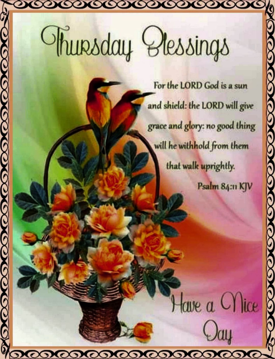 Thursday Blessings, Have A Nice Day Everyone Pictures, Photos, and ...