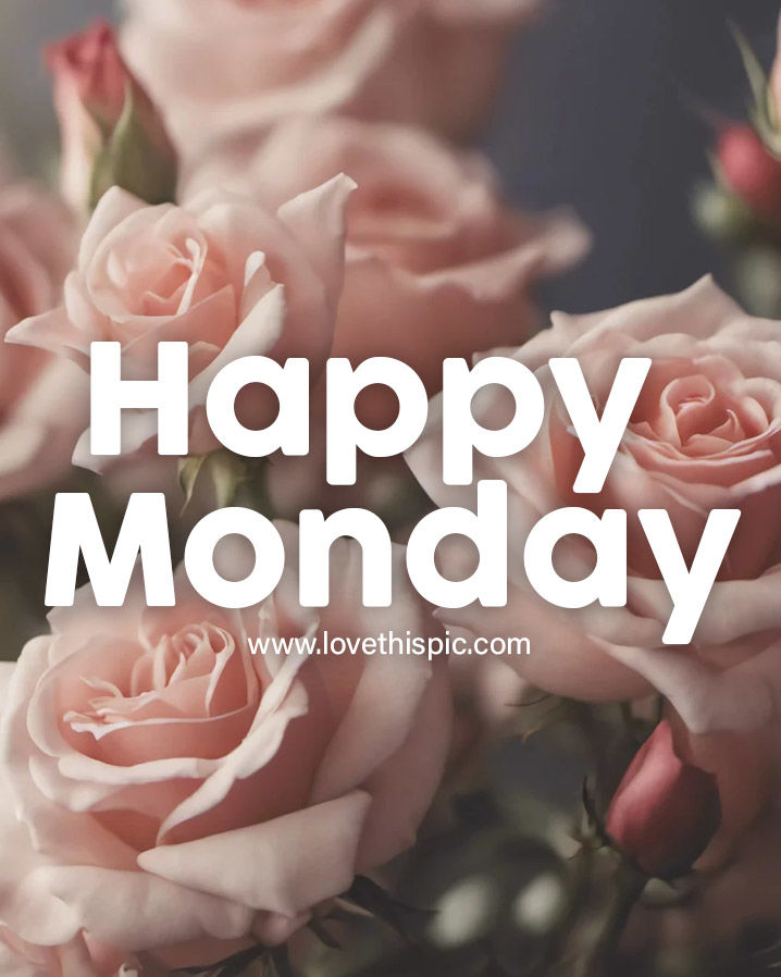 Happy Monday With Pink Roses Pictures, Photos, and Images for Facebook ...