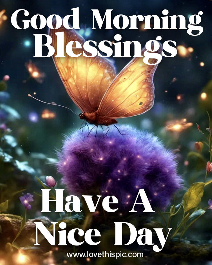 Glowing Butterfly - Good Morning Blessings, Have A Nice Day Pictures, Photos, and Images for ...