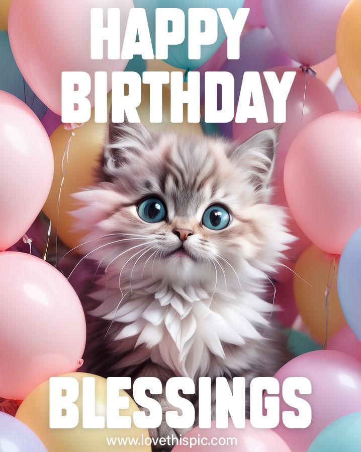 Party Kitty - Happy Birthday Blessings Pictures, Photos, and Images for ...
