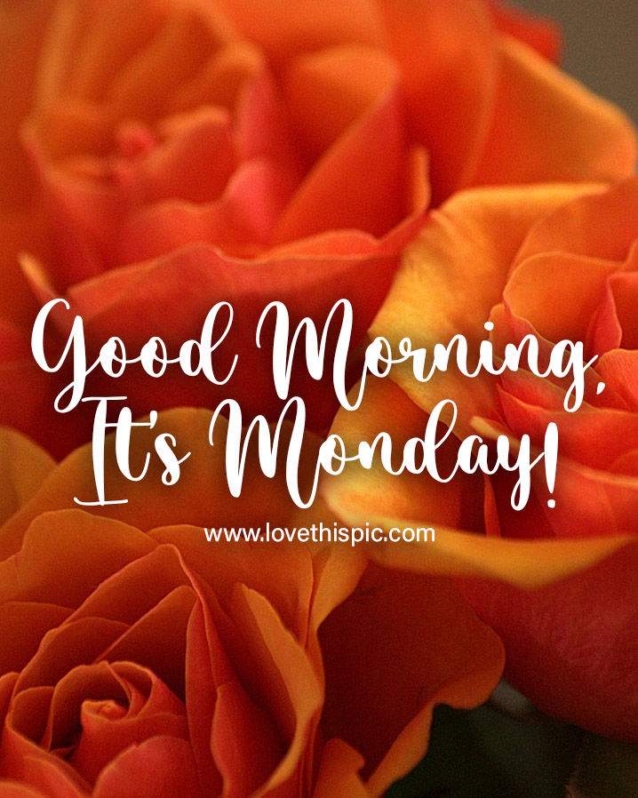 It's Finally Monday! Good Morning Pictures, Photos, and Images for ...