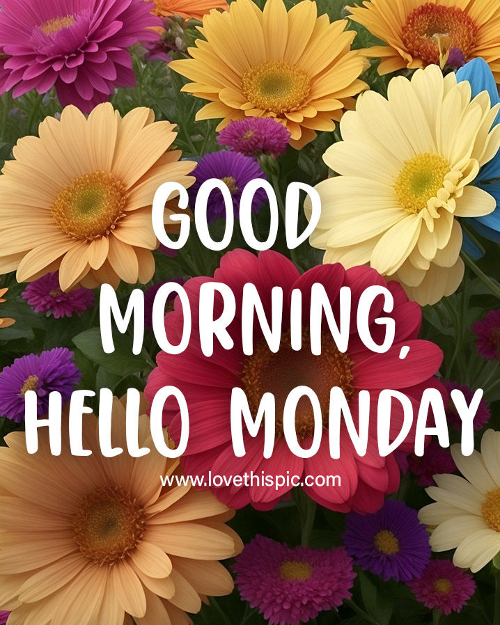 Good Morning, Hello Monday Pictures, Photos, and Images for Facebook ...