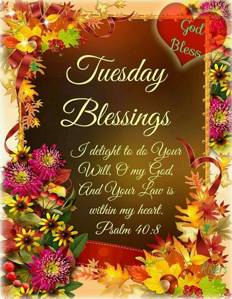 Tuesday Blessings, I Delight To Do Your Will Pictures, Photos, and ...