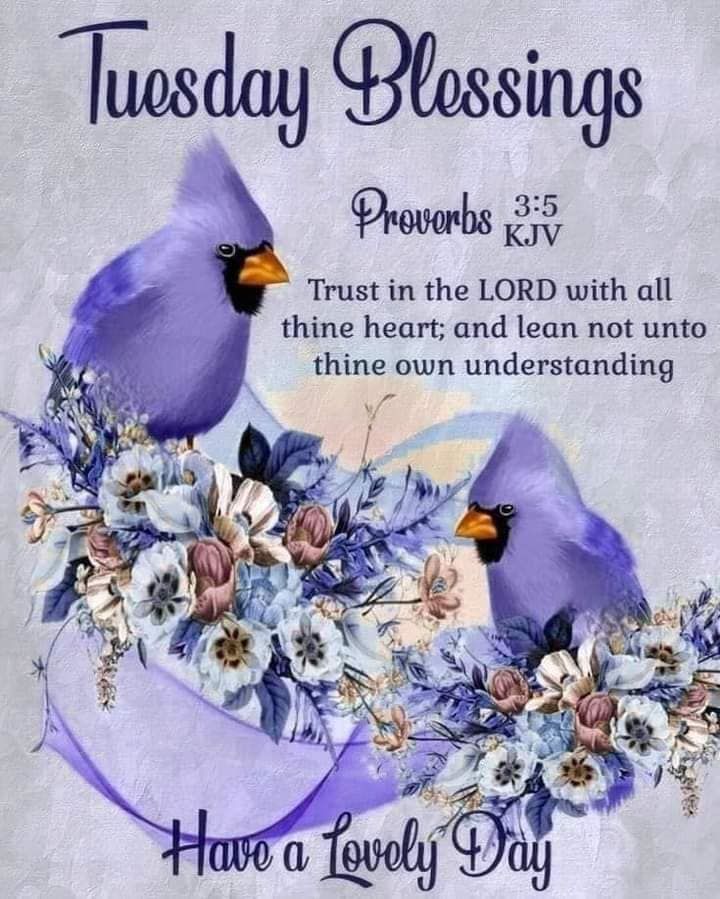 Tuesday Blessings Via Proverbs 3:5 Pictures, Photos, and Images for ...