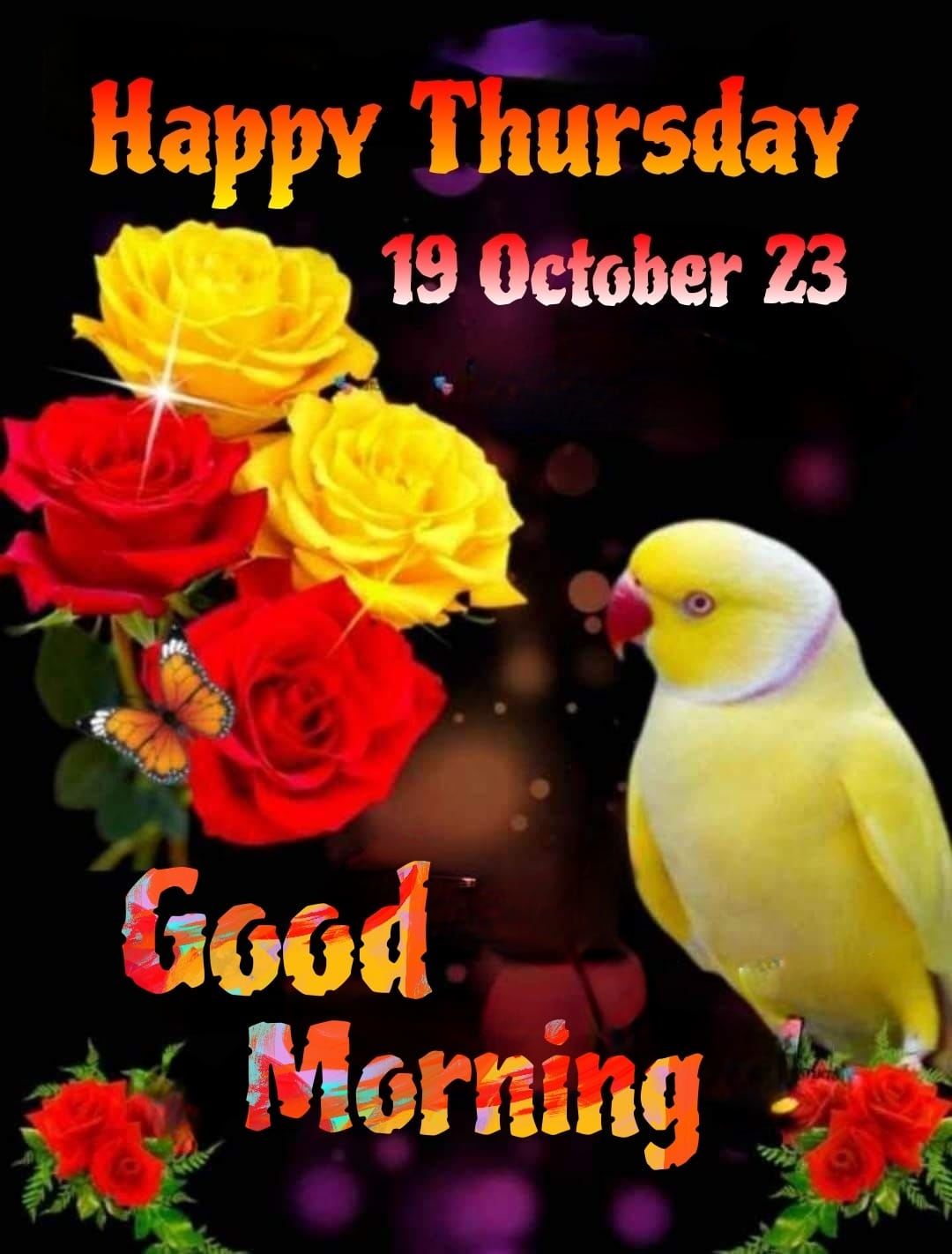 Have A Happy Thursday And Happy October 19. Good Morning Pictures ...