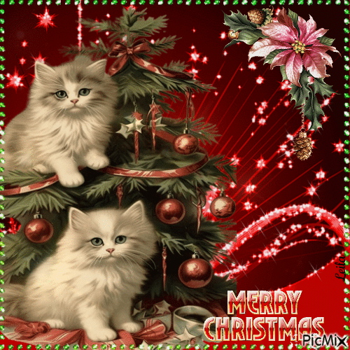 Funny Cat Christmas Gif at Henry Trethowan blog