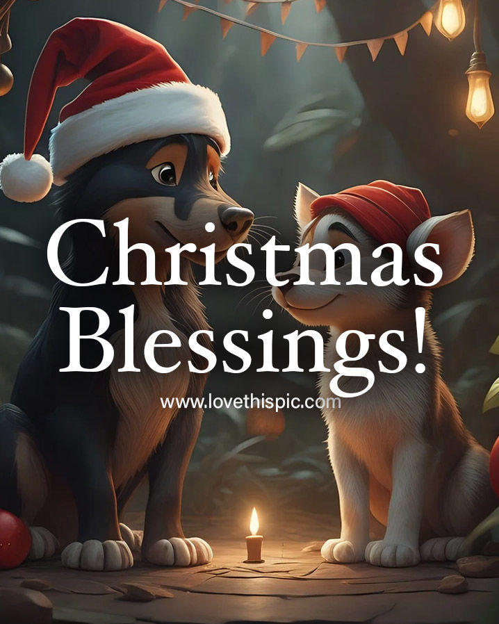 Holiday Dogs: Christmas Blessings! Pictures, Photos, and Images for ...