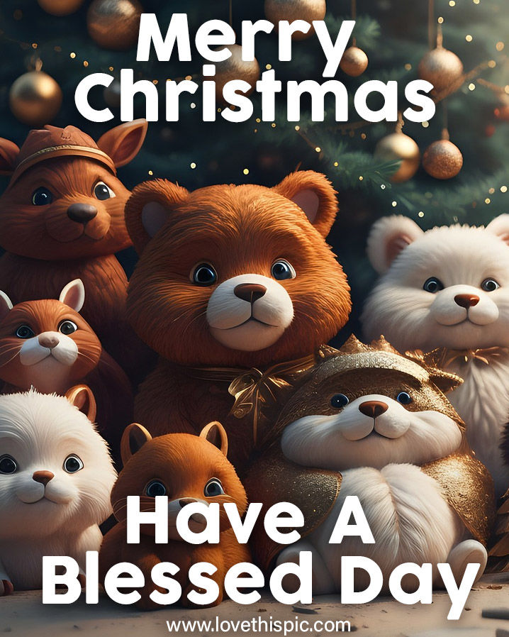 Merry Christmas: Have A Blessed Day Pictures, Photos, and Images for ...