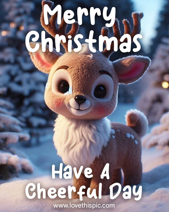 Have A Cheerful Day, Merry Christmas Pictures, Photos, and Images for Facebook, Tumblr ...