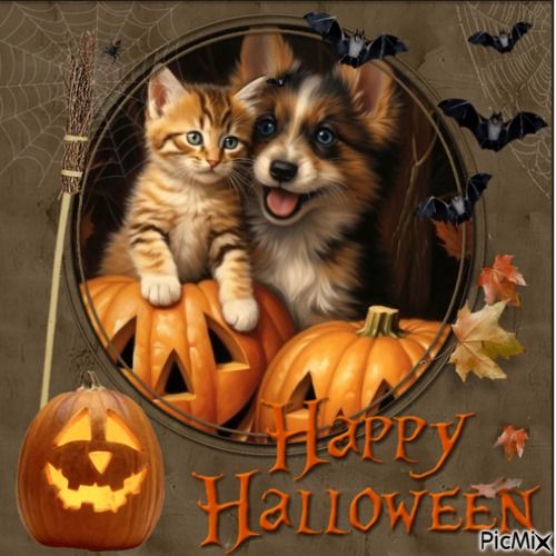 Pup & Kitty Happy Halloween Greeting Pictures, Photos, and Images for ...