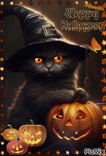 Black Cat Witch - Happy Halloween Pictures, Photos, and Images for ...