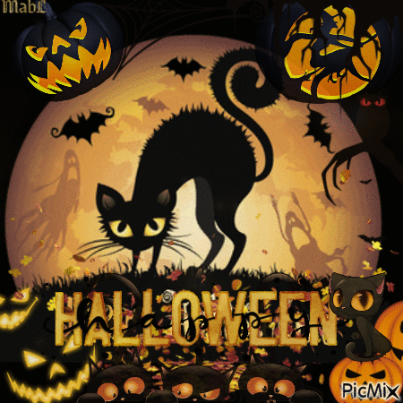 Frightened Halloween Cat Gif Pictures, Photos, and Images for Facebook ...