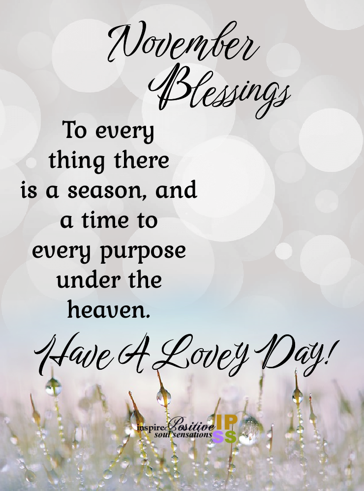 November Blessings: To Every Thing There Is A Season, And A Time To ...