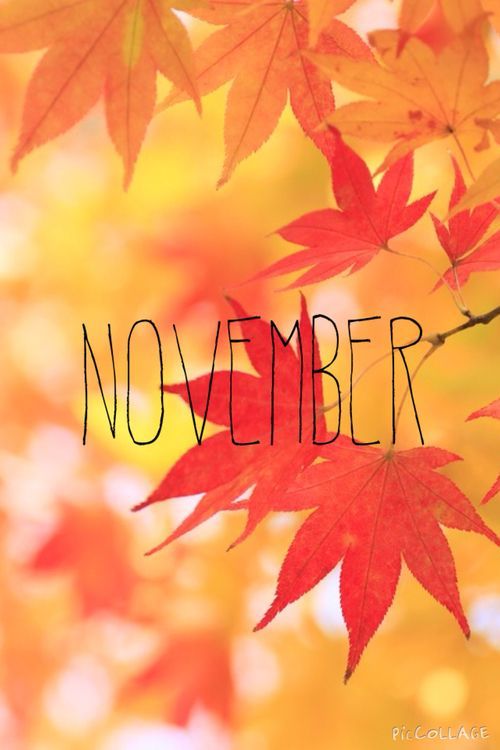 November Maple Leaf Pictures, Photos, and Images for Facebook, Tumblr ...