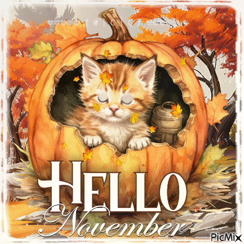 Kitty In Pumpkin - Hello November Pictures, Photos, and Images for ...