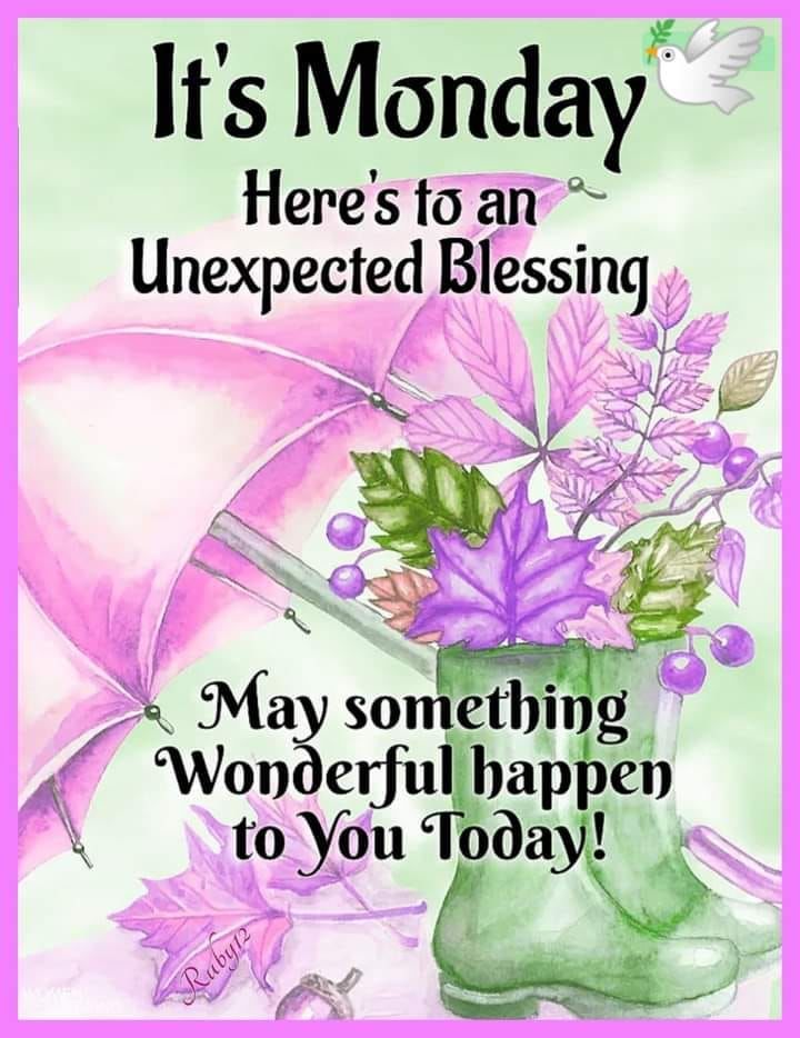 It's Monday! Here's To An Unexpected Blessing! Pictures, Photos, and ...