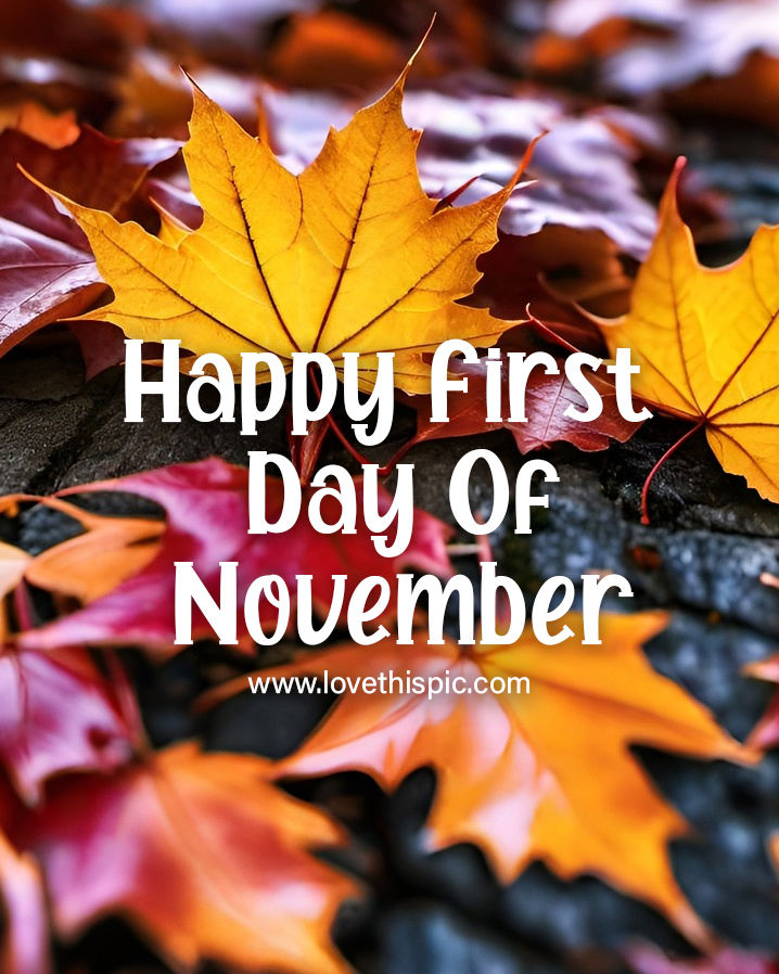 Vibrant Fall Leaves - Happy First Day Of November Pictures, Photos, and ...