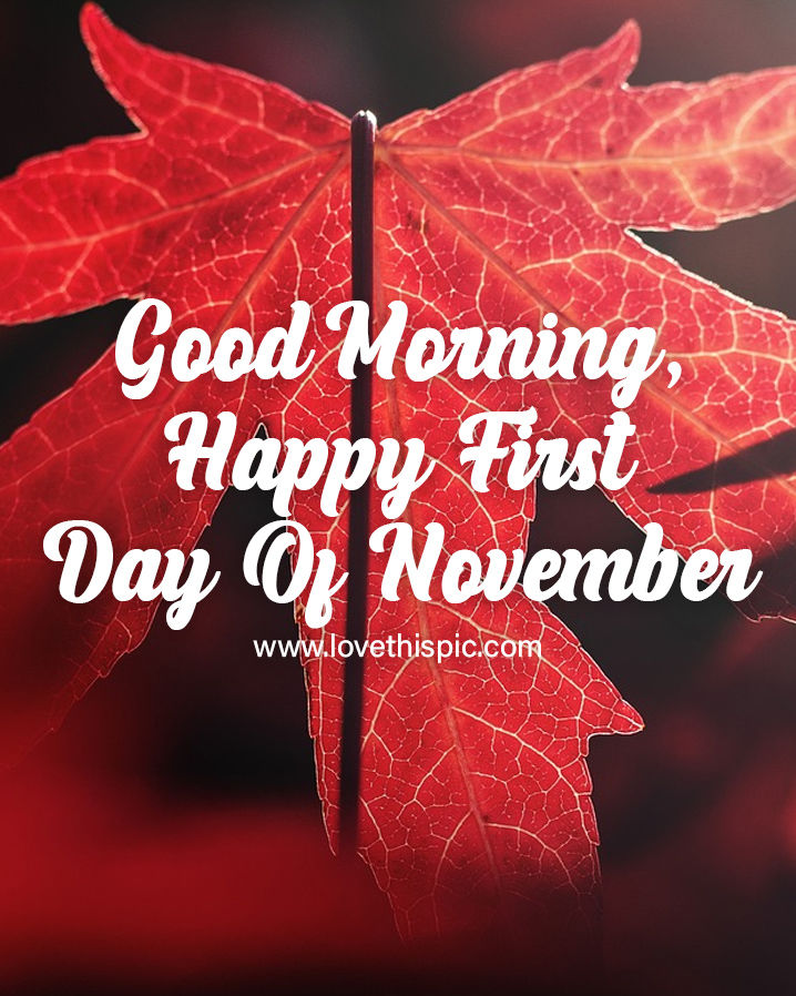 Good Morning, Happy First Day Of November Pictures, Photos, and Images ...