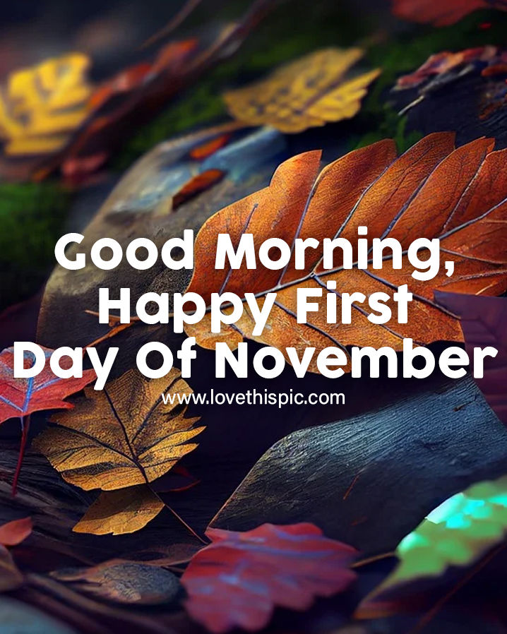 Colorful Autumn Leaves - Good Morning, Happy First Day Of November ...