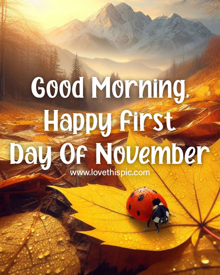 Ladybug On Leaf - Good Morning, Happy First Day Of November Pictures ...