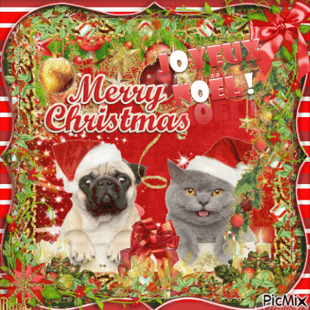 Dog & Cat - Merry Christmas Animation Pictures, Photos, and Images for ...