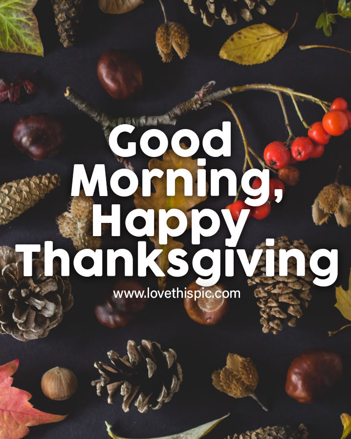 Have A Happy Thanksgiving! And Good Morning Pictures, Photos, and ...