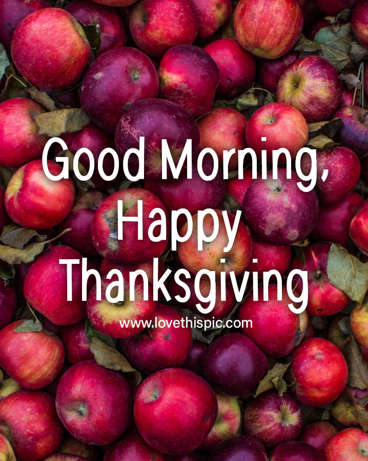 Red Apples - Good Morning, Happy Thanksgiving Pictures, Photos, and ...