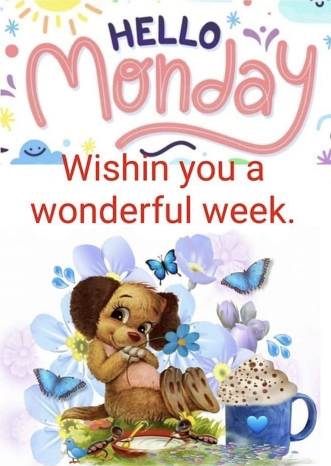 Wishing You A Wonderful Monday. Hello Monday! Pictures, Photos, and ...