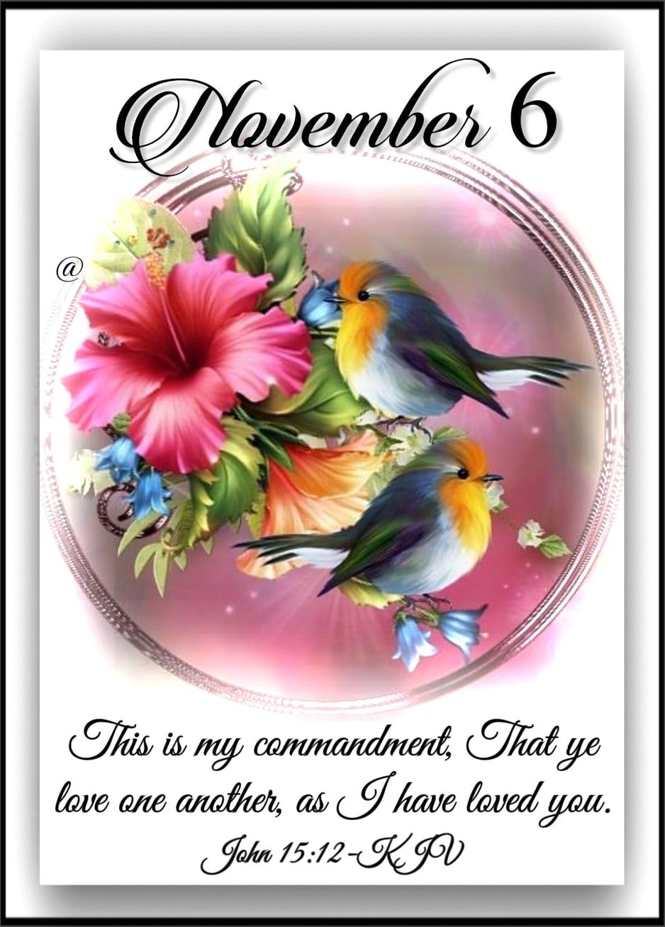 November 6: This Is My Commandment, That Ye Love One Another, As I Have ...