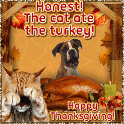 The Cat Ate The Turkey, Honestly! Happy Thanksgiving Pictures, Photos ...