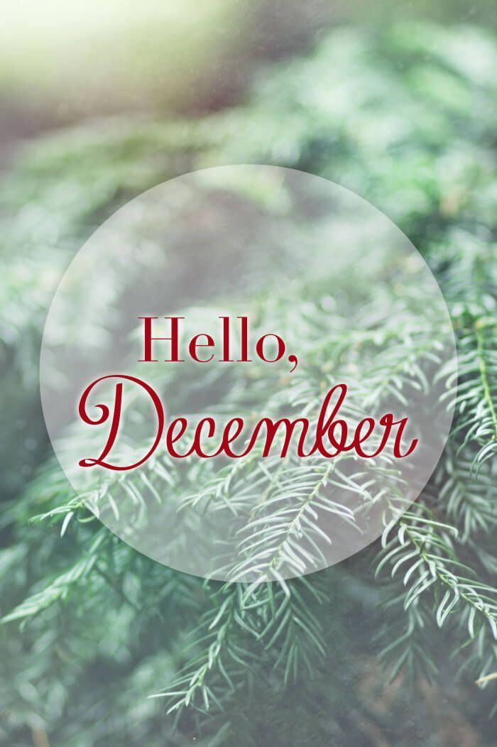 Pine Leaf Hello December Message Pictures, Photos, and Images for ...