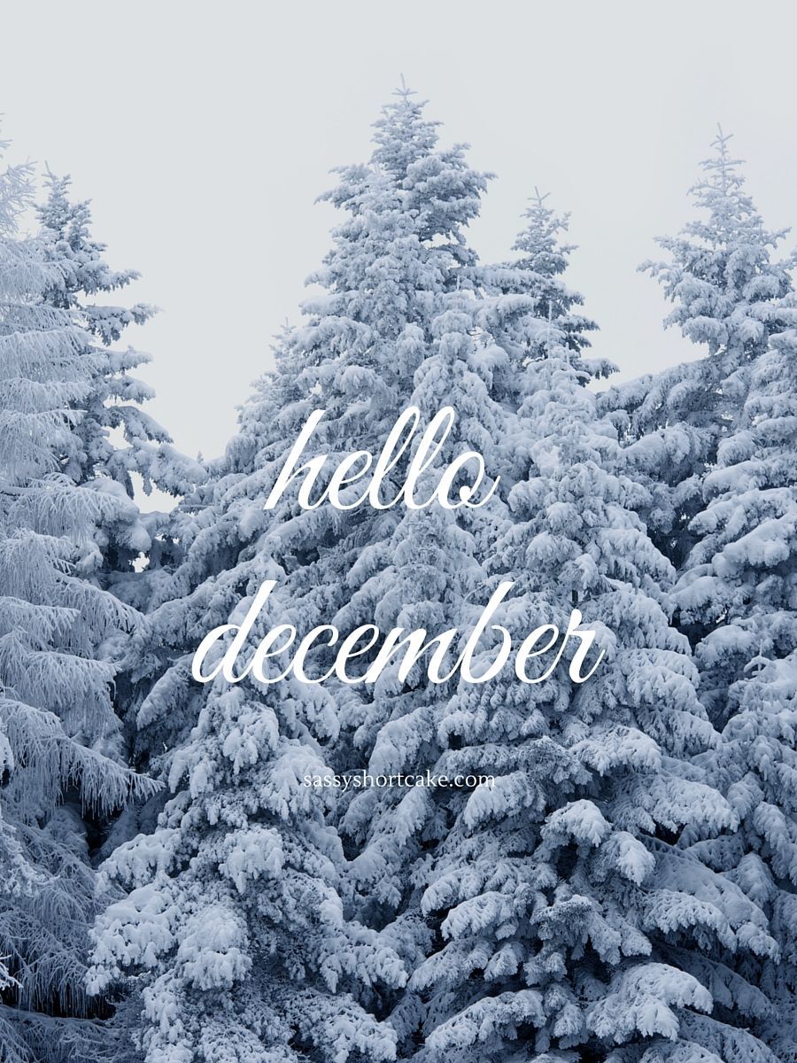 Snowy Trees - Hello December Pictures, Photos, and Images for Facebook ...