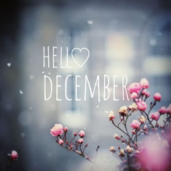 Hello December With Pink Flowers Pictures, Photos, and Images for ...