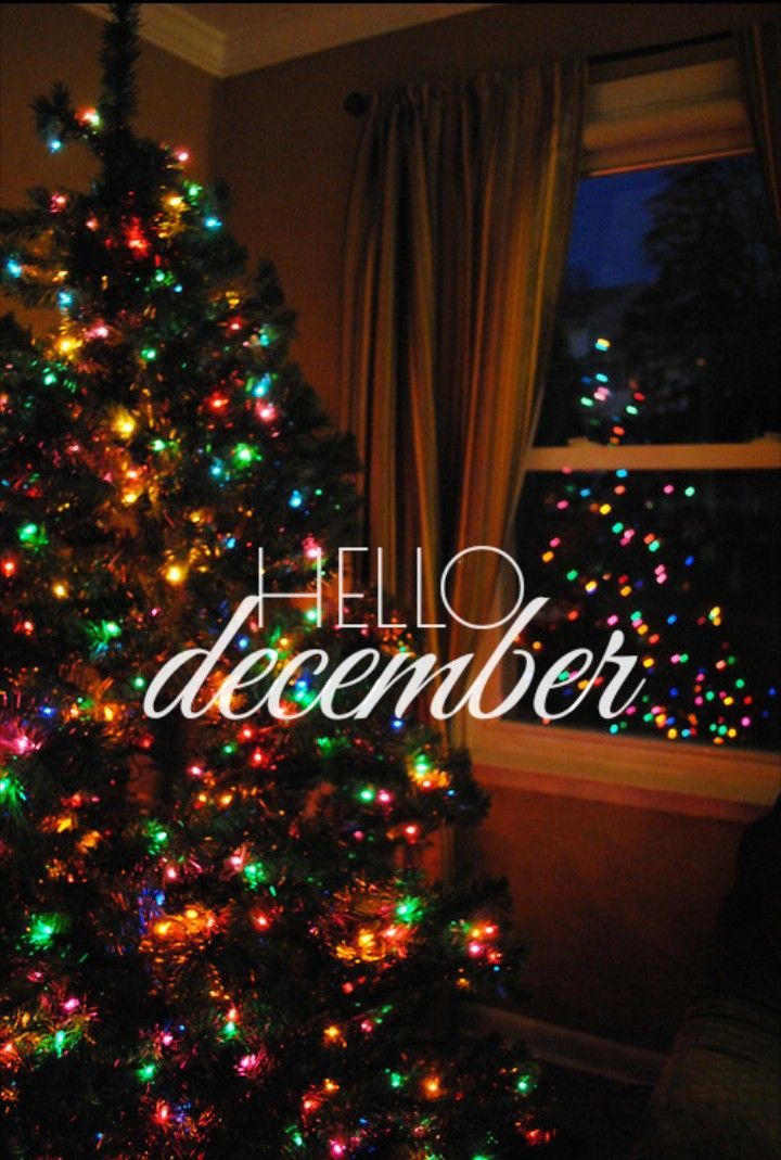 Colorful Christmas Tree - Hello December Pictures, Photos, and Images ...