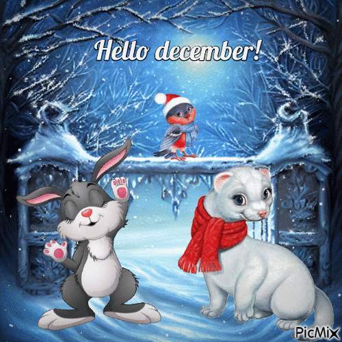 Cute Hello December Gif With Adorable Animals Pictures, Photos, and ...
