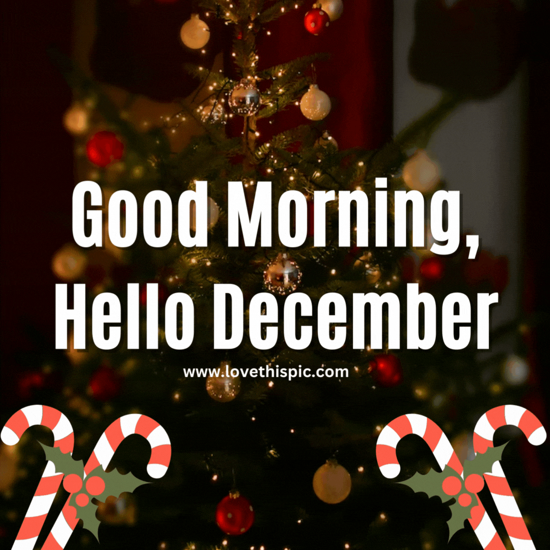 Candy Cane And Christmas Tree - Good Morning, Hello December Pictures ...
