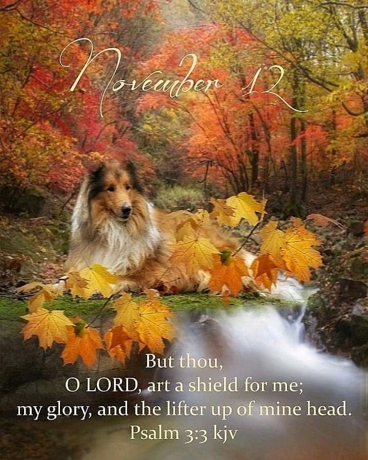 November 12 Blessings Pictures, Photos, and Images for Facebook, Tumblr ...